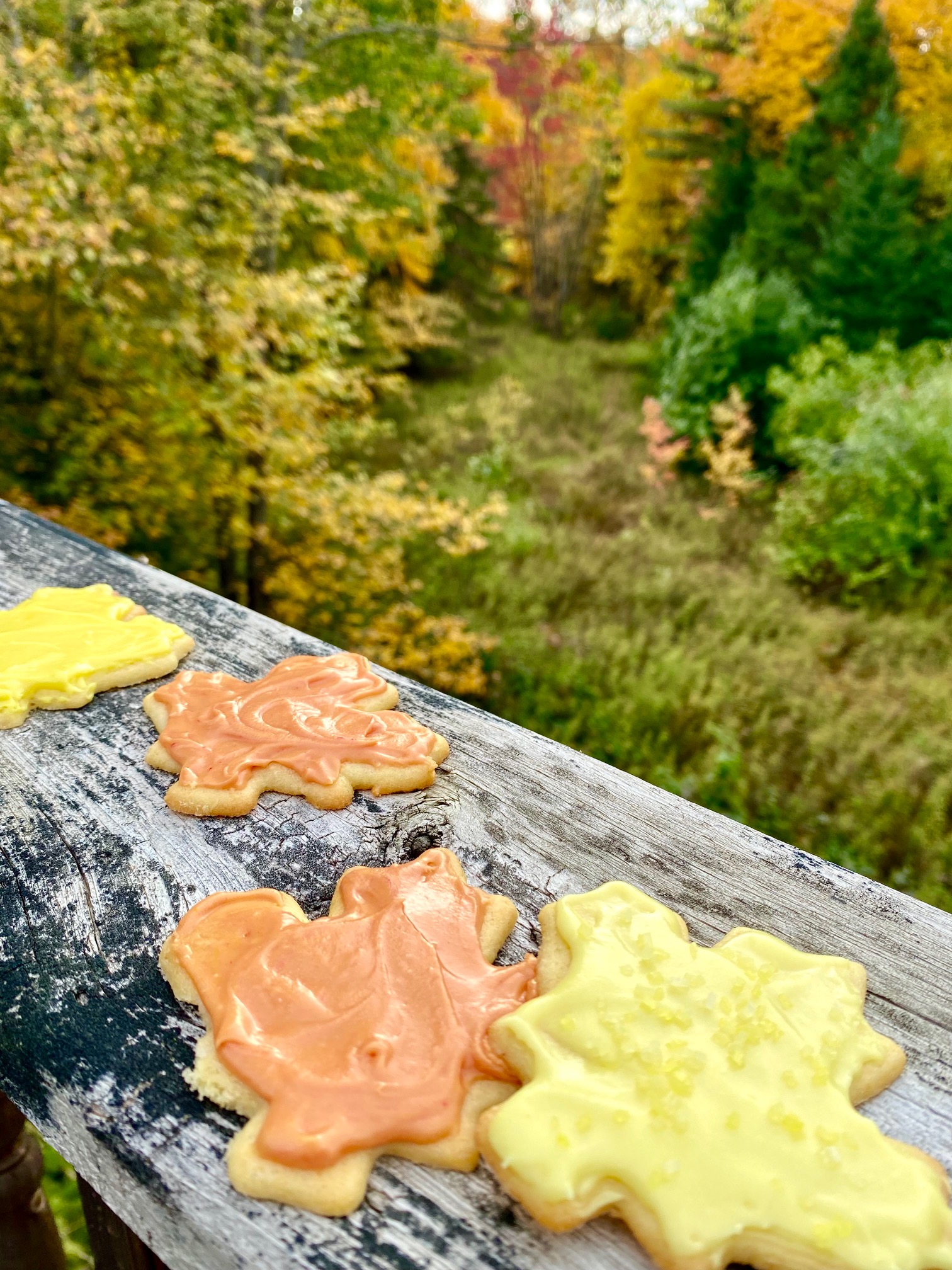 Perfect Frosted Sugar Cookies (Fall) ⋆ That Which Nourishes